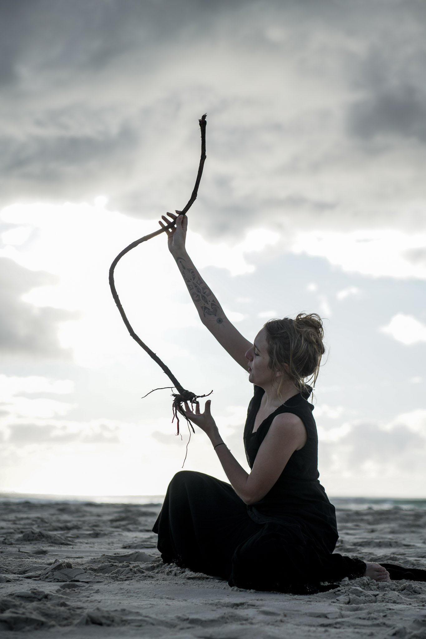 About ⋆ Alice Night