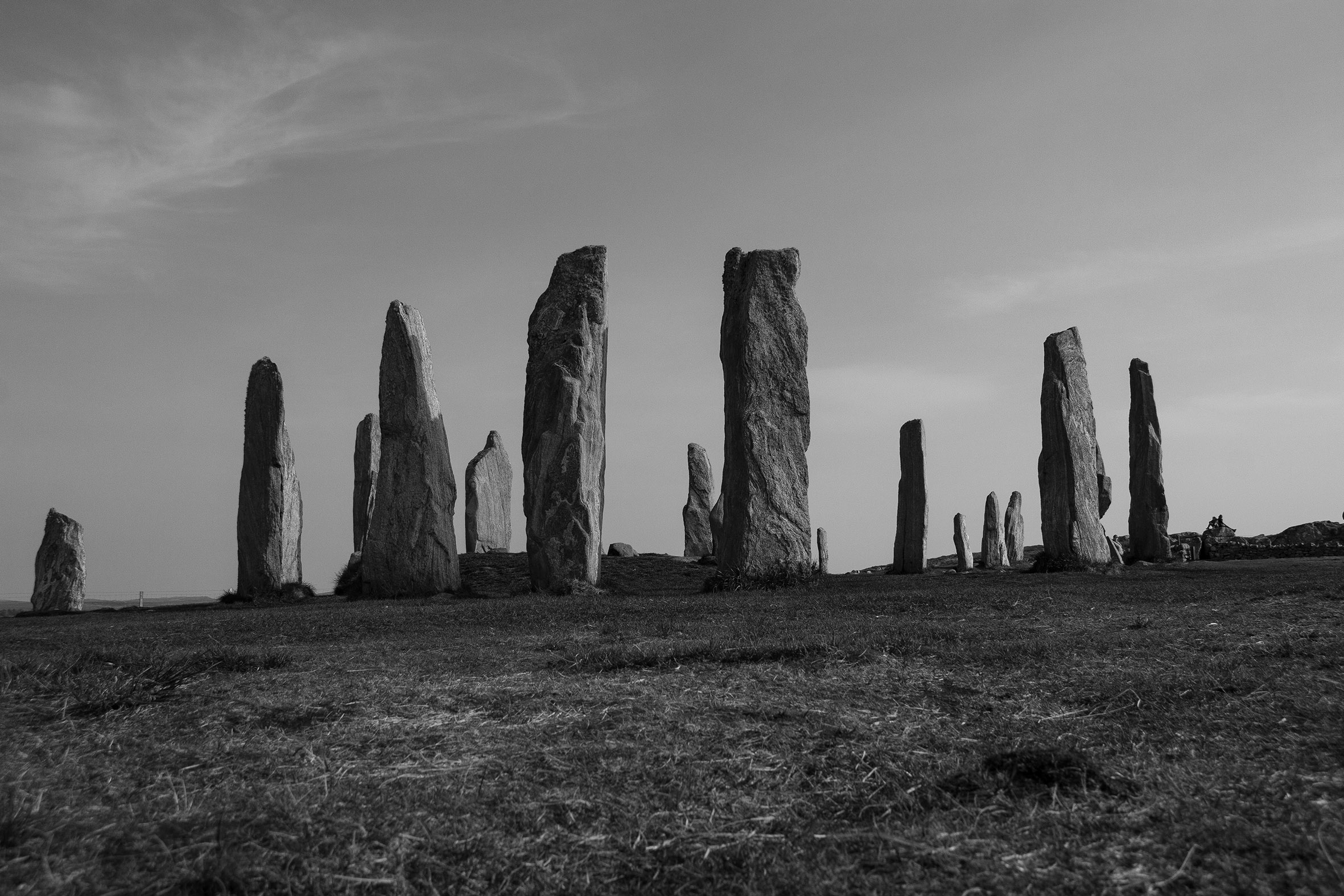 About ⋆ Alice Night